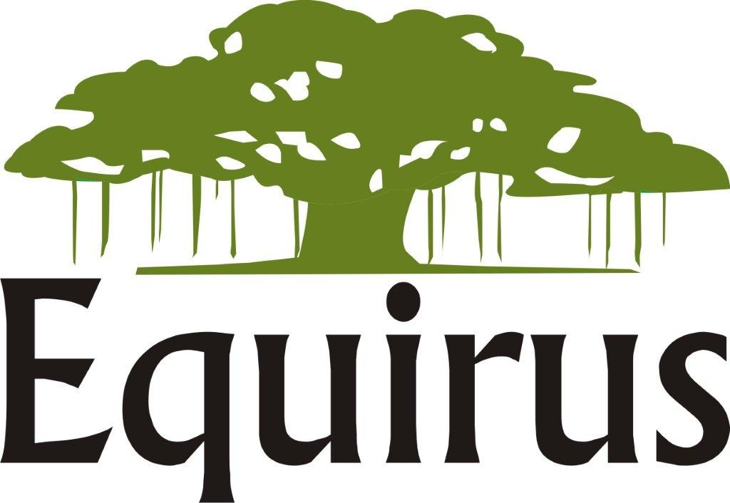 Federal Bank to sell 1.15mn shares more in Equirus Capital